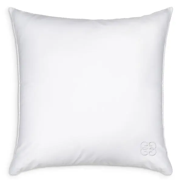 Gingerlily 50/50 Silk Blend Euro Pillow, 26 X 26 - White