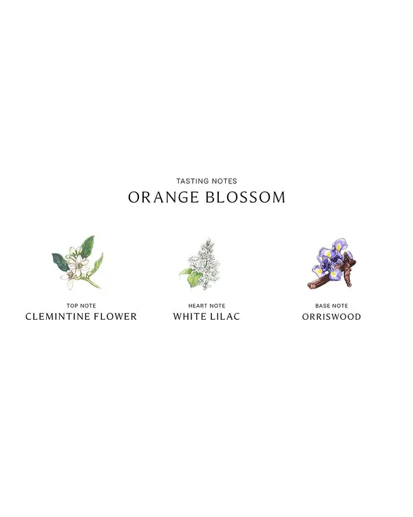 Jo Malone Orange Blossom Classic Candle 7.1 Oz - No Color