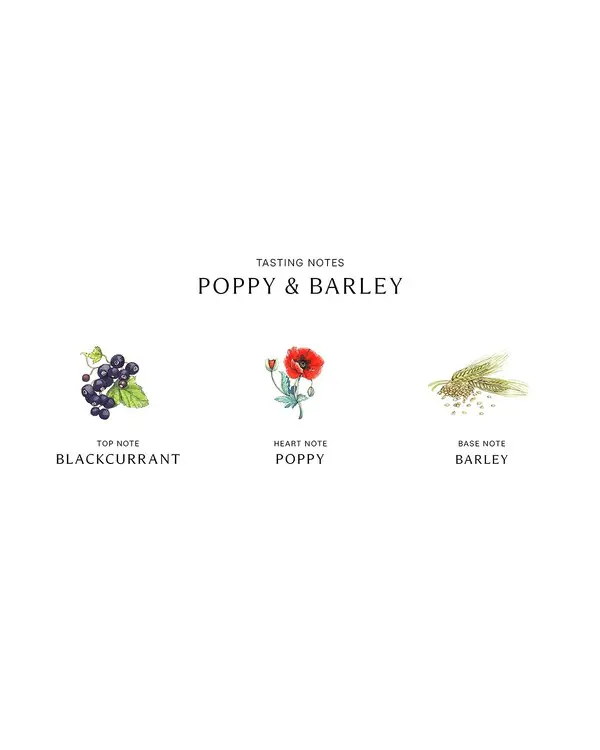 Jo Malone Poppy & Barley Cologne 3.4 Oz - No Color