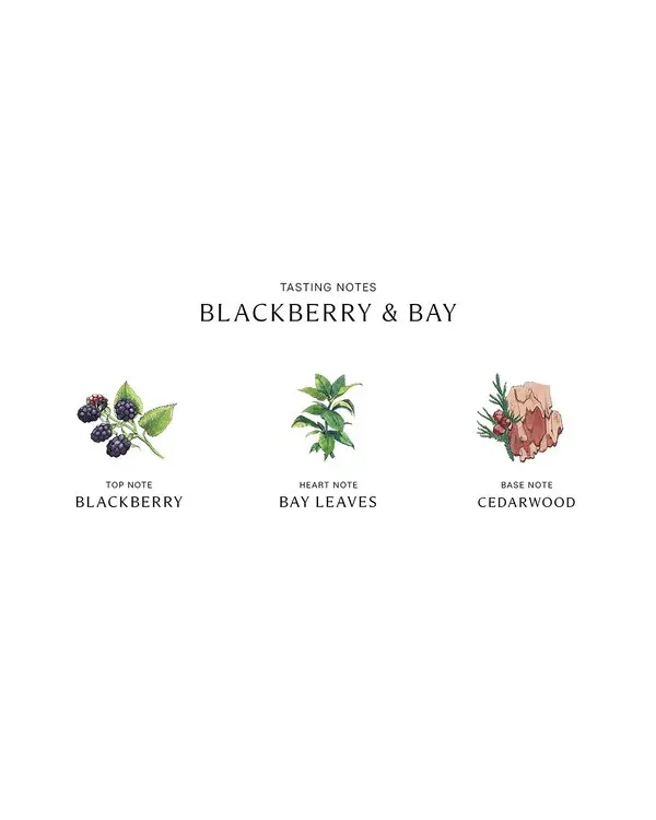 JO MALONE LONDON Blackberry & Bay Cologne 1 Oz