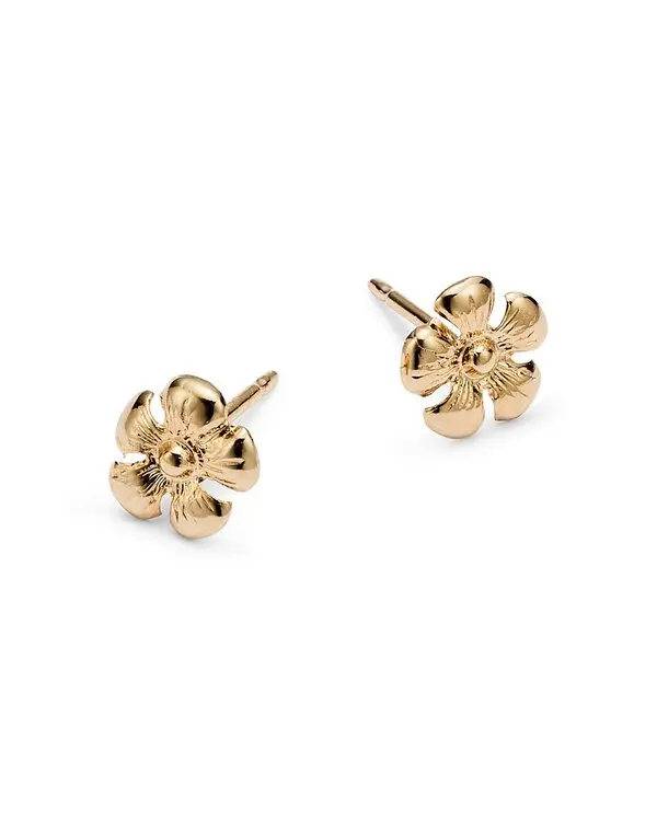 MOON & MEADOW 14k Yellow Daisy Stud Earrings