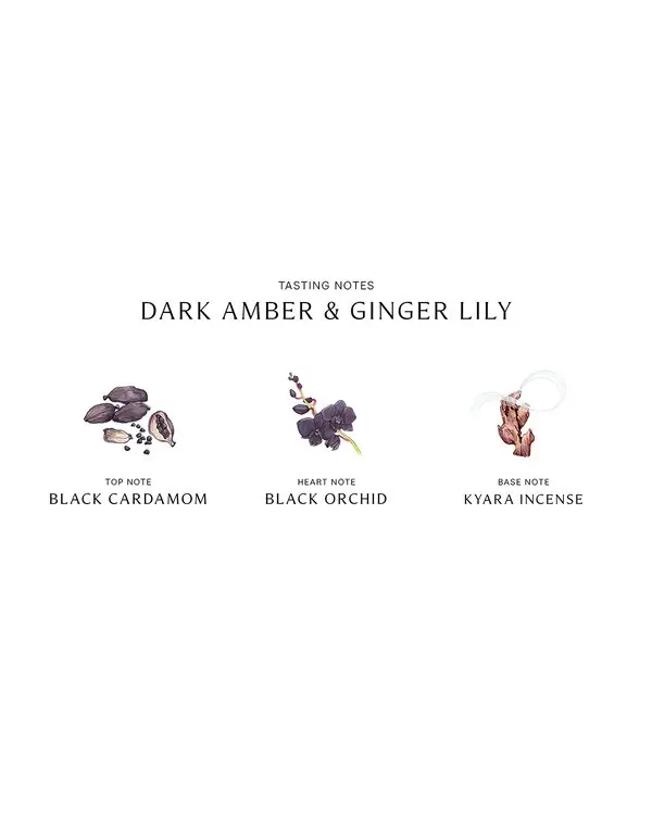 Jo Malone Dark Amber & Ginger Lily Cologne Intense 1.7 Oz - No Color