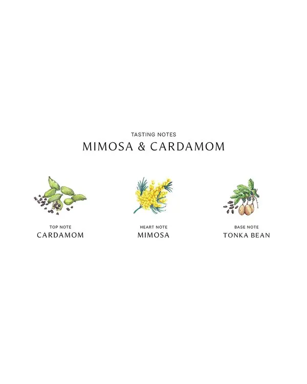 Jo Malone Mimosa & Cardamom Cologne 3.4 Oz