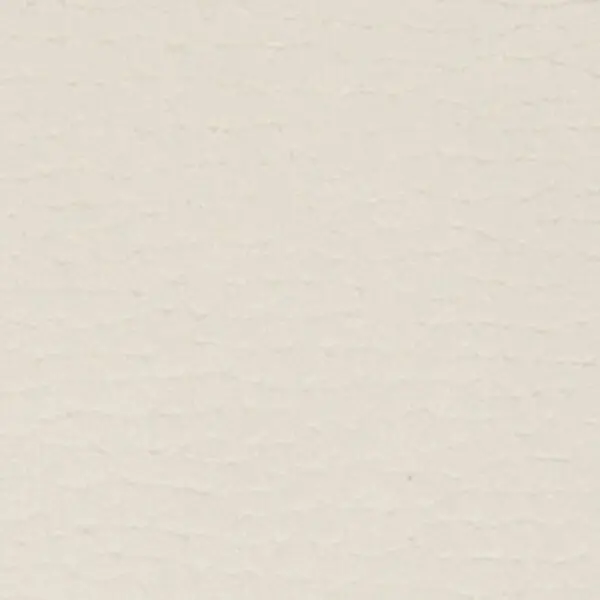 Loewe Leather Anagram Vertical Wallet