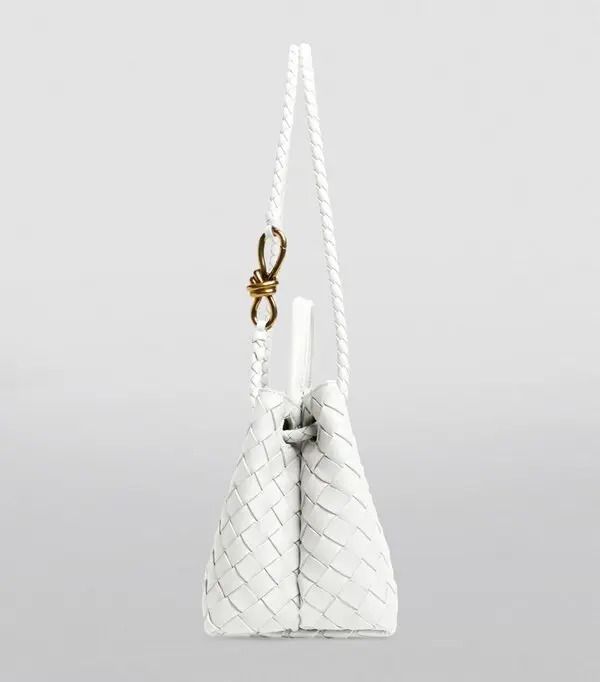 Bottega Veneta Small Leather Andiamo Top-handle Bag