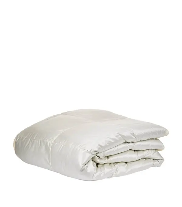 BRINKHAUS Arctic Duck Down Duvet - Ivory