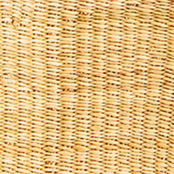 Loewe X Paula's Ibiza Shell Basket Bag