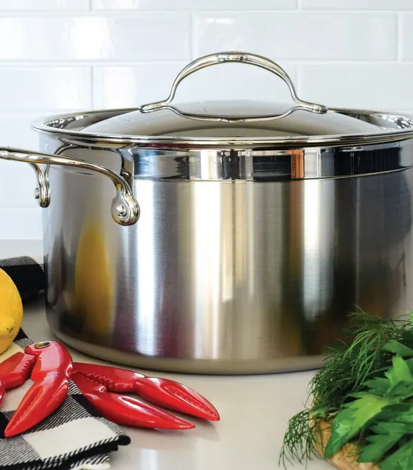 HESTAN Probond Stockpot With Lid