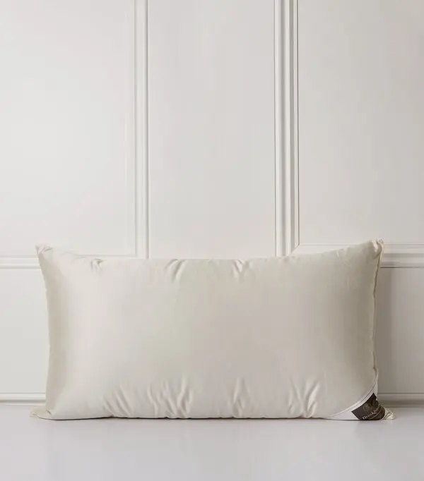 BRINKHAUS Arctic Duck Down Pillow