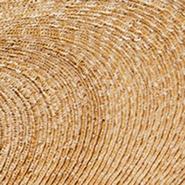 Eliurpi Straw Maxi Boater Hat