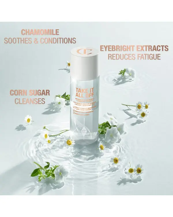 Charlotte Tilbury Take It All Off Makeup Remover 4 Oz - No Color