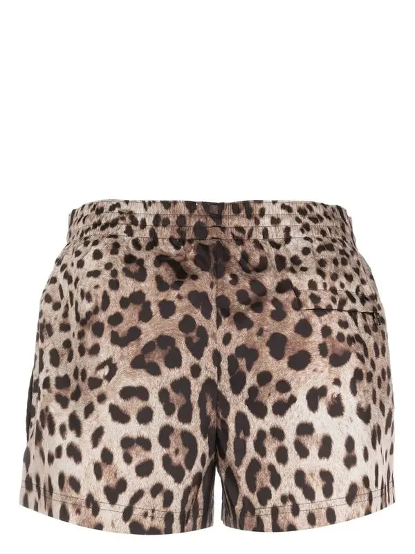 Dolce & Gabbana Logo-plaque Leopard-print Swim Shorts