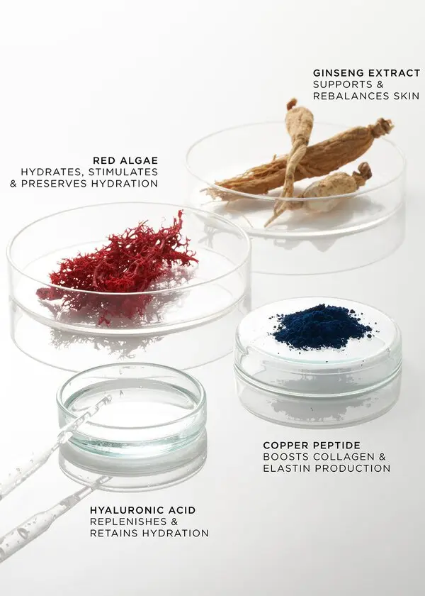 NOBLE PANACEA The Elemental Preparation Essence Refill - Na