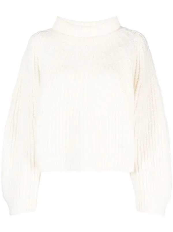 Fabiana Filippi Chunky Ribbed Roll-neck Jumper