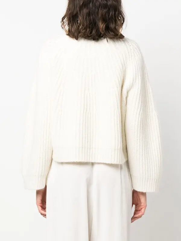 Fabiana Filippi Chunky Ribbed Roll-neck Jumper