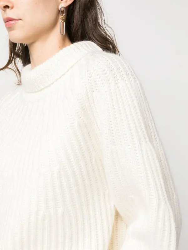 Fabiana Filippi Chunky Ribbed Roll-neck Jumper
