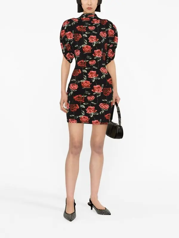 Magda Butrym Floral-print Mock-neck Minidress