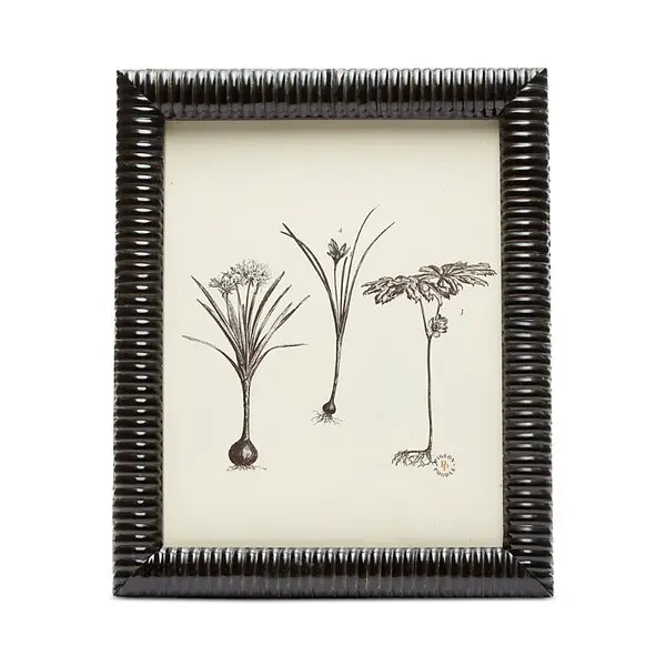 PIGEON AND POODLE Metz Lacquered Resin Frame, 8 X 10 - Black