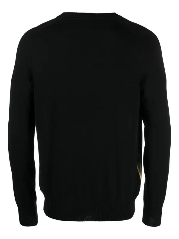 Roberto Cavalli Zebra-print Sweatshirt