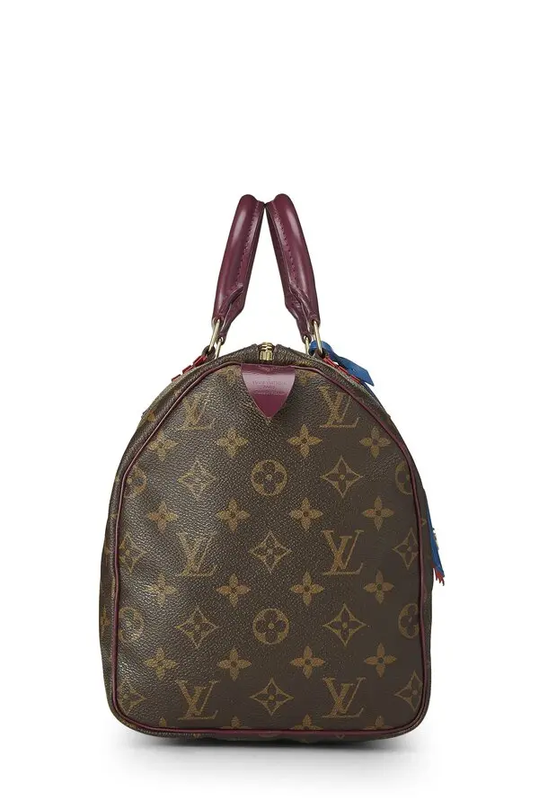 LOUIS VUITTON Monogram Totem Speedy 30