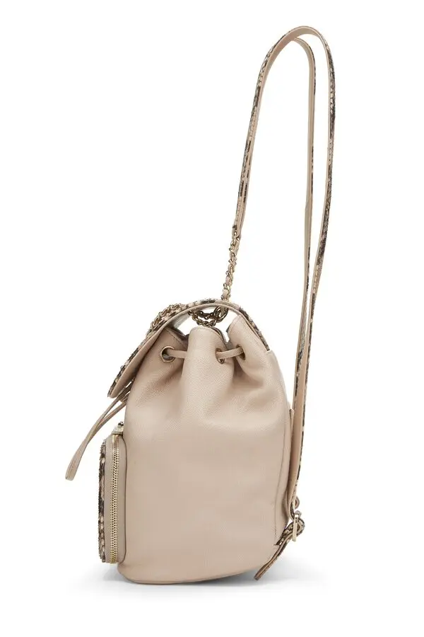 Chanel Caviar & Python Business Affinity Backpack