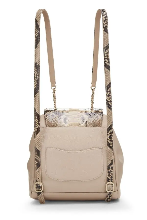 Chanel Caviar & Python Business Affinity Backpack