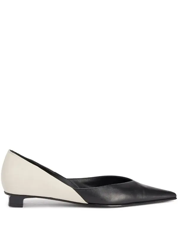 Ami Pointed Leather Pumps