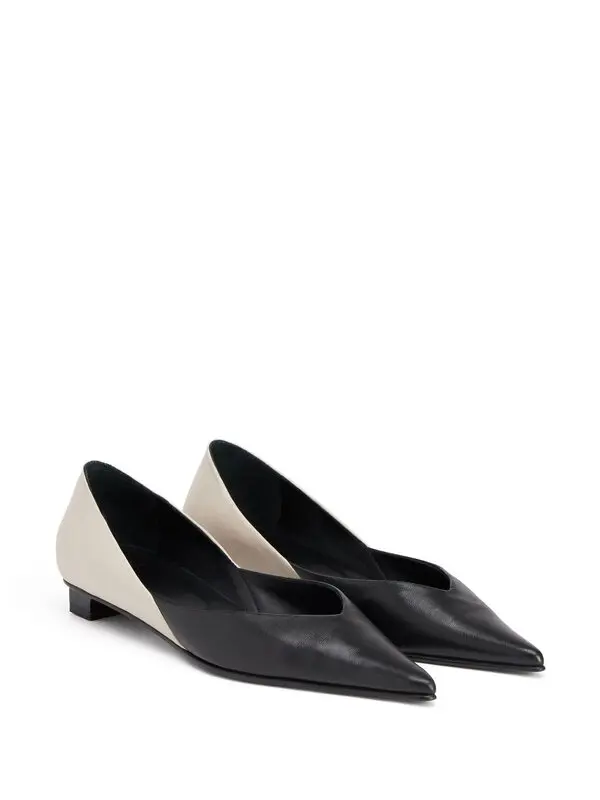 Ami Pointed Leather Pumps