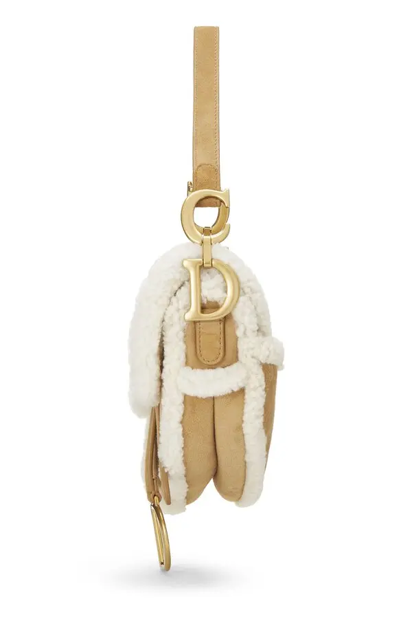 Dior Saddle Bag