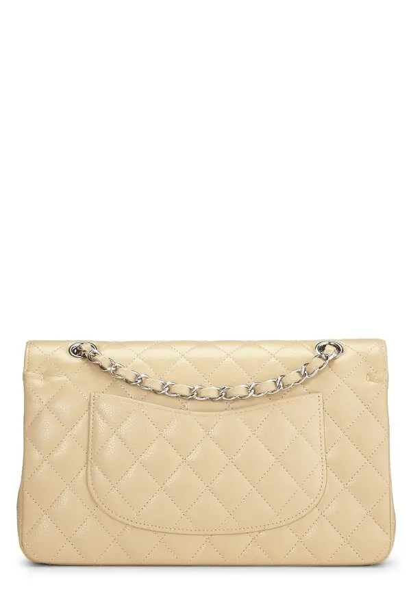 Chanel Classic Double Flap Bag - Beige