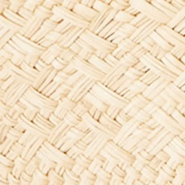 Loewe X Paula’s Ibiza Small Woven Anagram Basket Bag