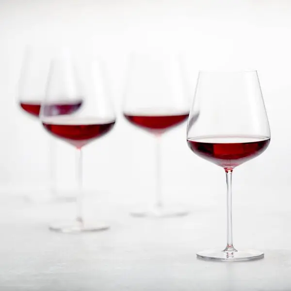 SCHOTT ZWIESEL Vervino All Purpose Wine Glass, Set Of 6