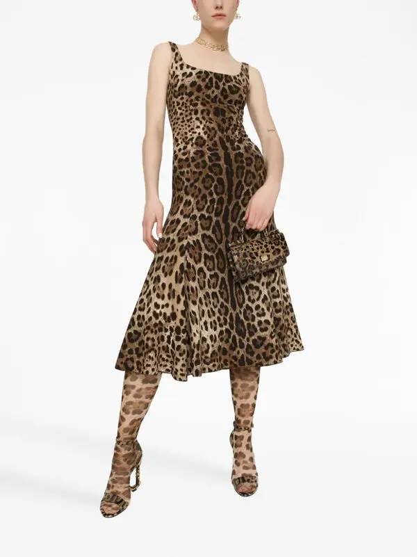 Dolce & Gabbana Leopard-print Midi Dress