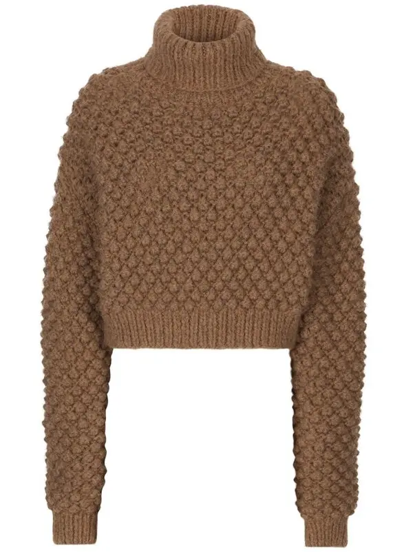 Dolce & Gabbana Roll-neck Cropped Jumper