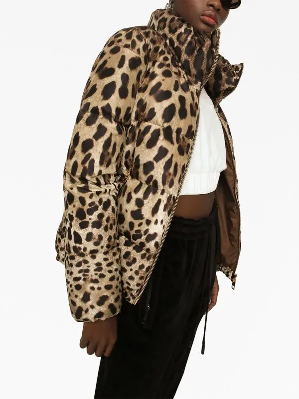 Dolce & Gabbana Leopard-print Padded Jacket - Brown