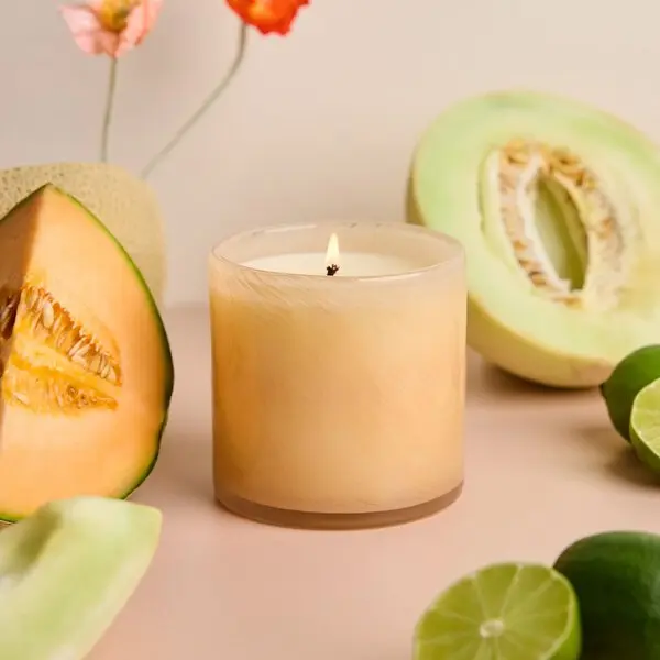 LAFCO NEW YORK Paloma Melon Signature Candle, 15.5 Oz