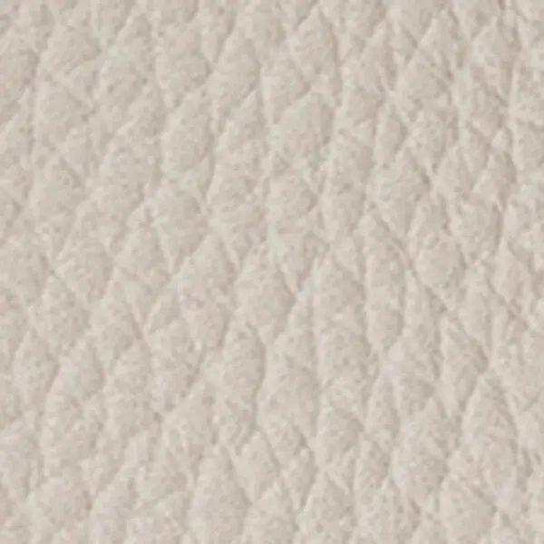 Loewe Leather Zip Wallet - Beige