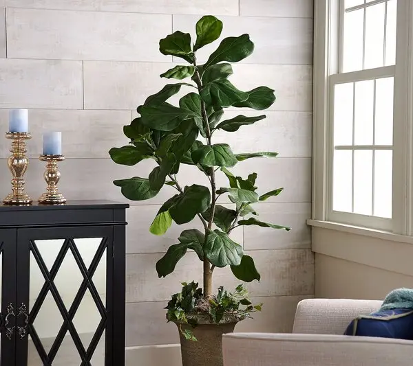 VALERIE PARR HILL 5' Faux Fiddle Leaf Tree In Starter Pot Valerie - One-color