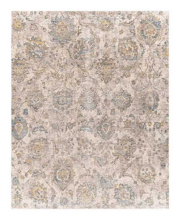 Livabliss Mirabel Mbe-2316 Area Rug, 2' X 3 - Tan/mist