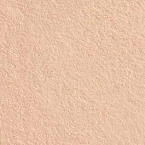 Dior Forever Natural Velvet Compact Foundation Refill