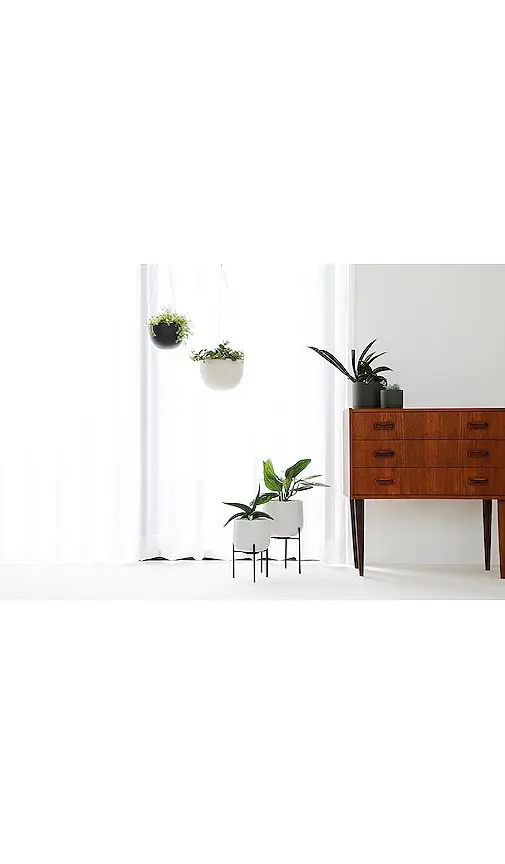 KINTO 6in Ceramic Plant Pot 191 In Charcoal