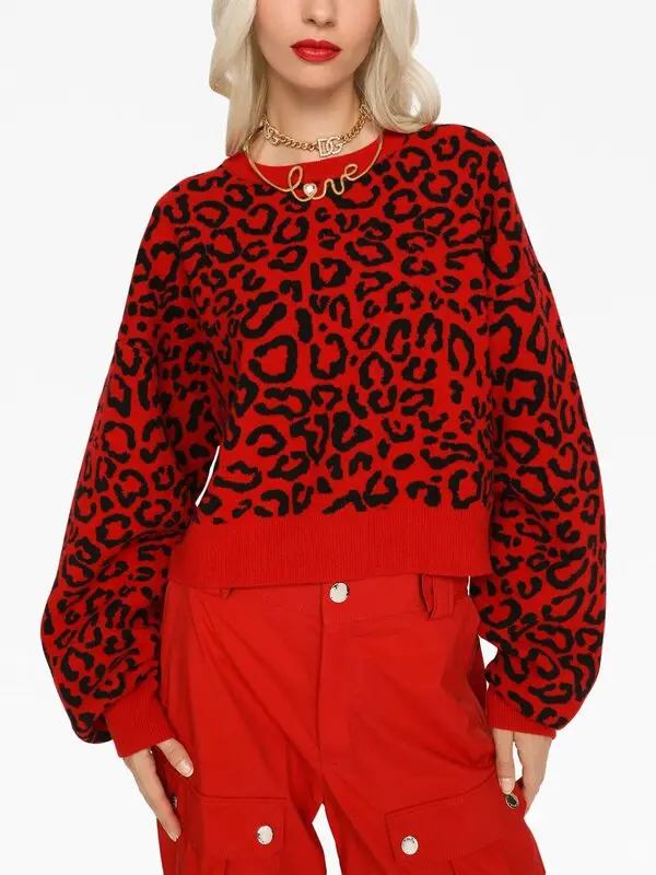 Dolce & Gabbana Leopard-print Jumper