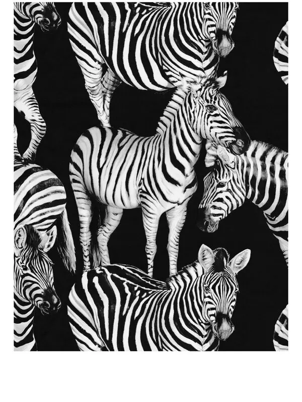 Dolce & Gabbana Zebra-print Wallpaper - Black