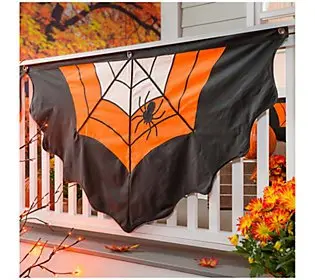 EVERGREEN 61'x32' Spider Web Large Bunting