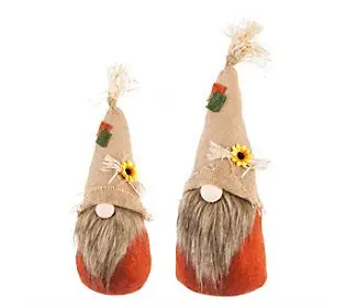 EVERGREEN Set Of 2 Led Plush Gnomes - One-color