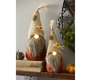 EVERGREEN Set Of 2 Led Plush Gnomes