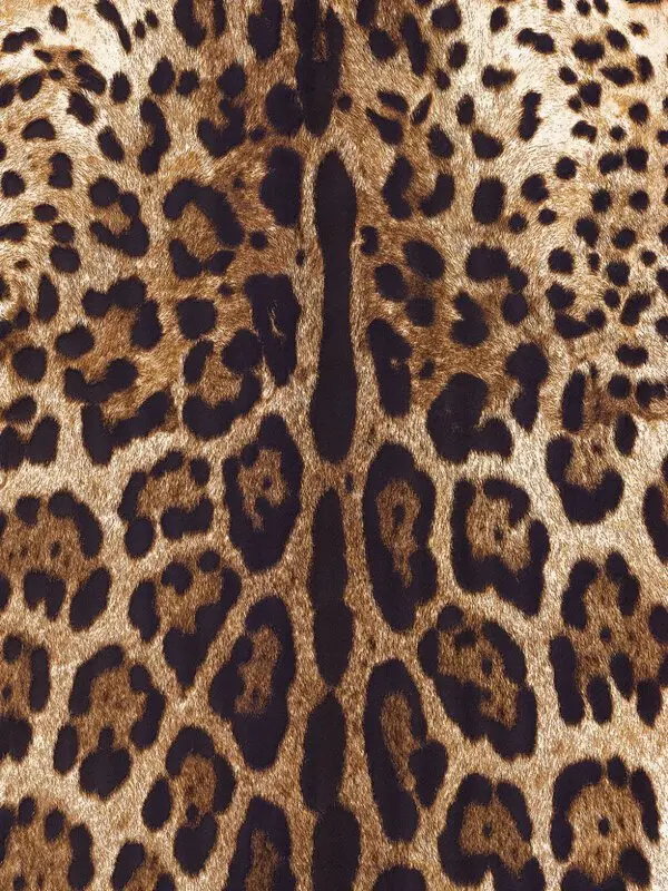 Dolce & Gabbana Leopard-print Wallpaper