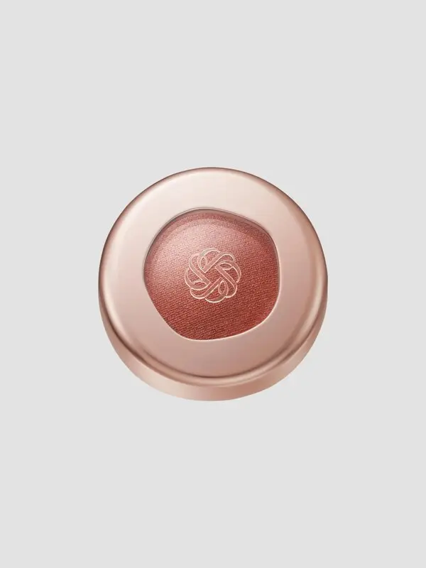 DECORTE Eye Glow Gem Skin Shadow - Rustic Brown