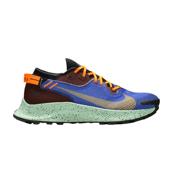 Nike Pegasus Trail 2 Gtx Sneakers - Blue