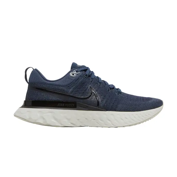 Nike React Infinity Run Flyknit 2 Sneakers - Blue